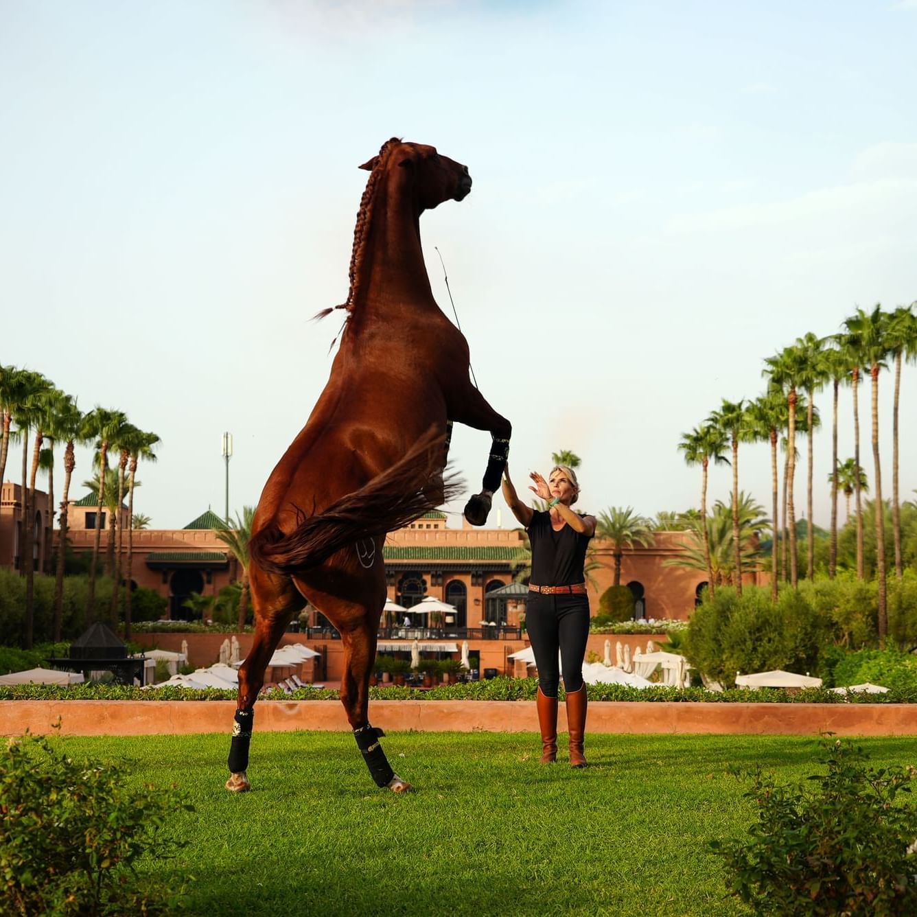 Marrakech hotels 5-star and spa | Selman Marrakech