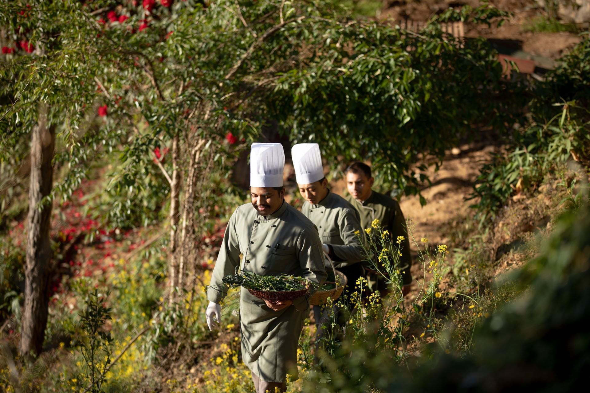 Luxury Hotel in Kathmandu Nepal | The Terraces Resort and Spa