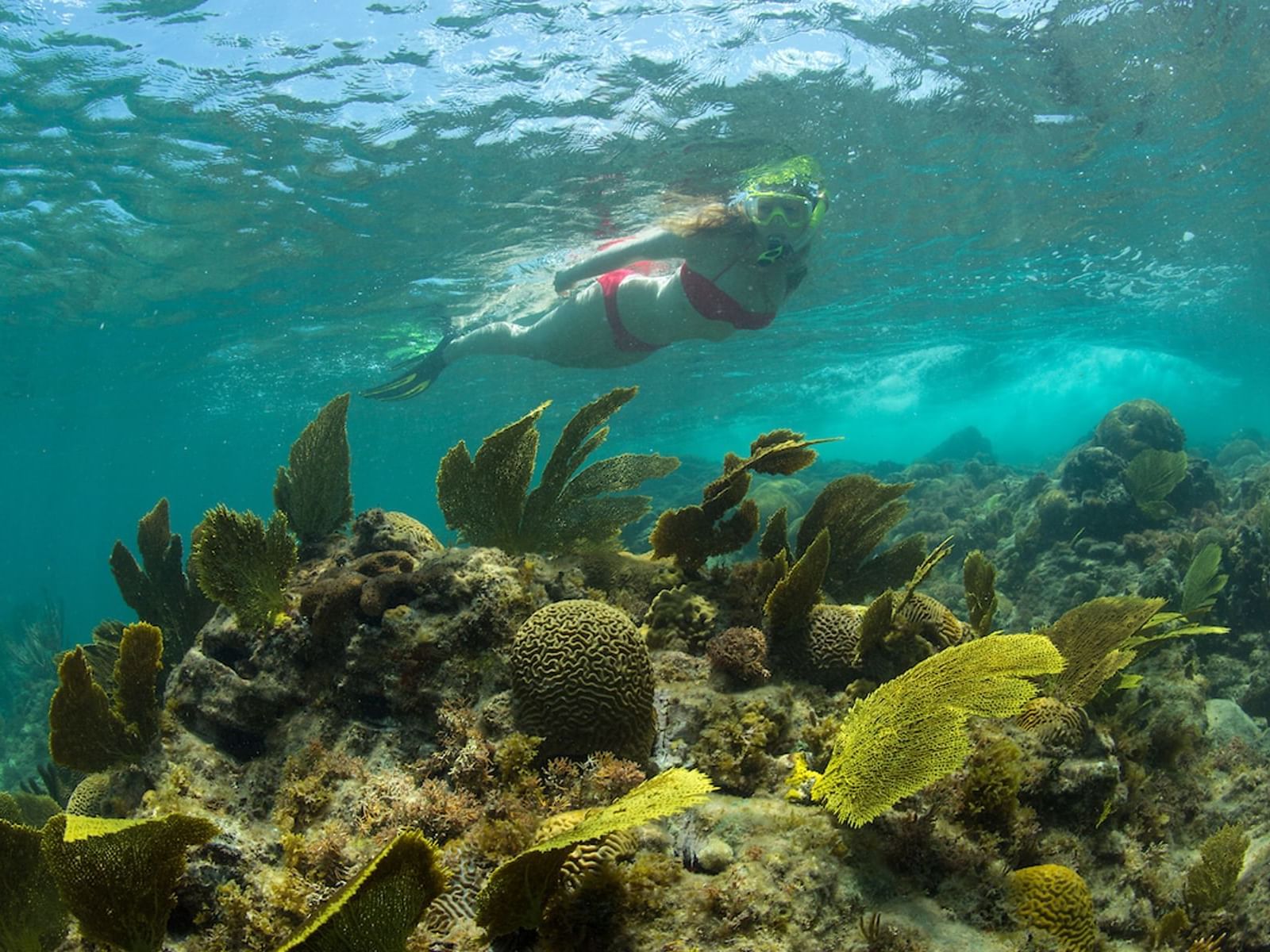 The Buccaneer Resort, St. Croix, U.S. Virgin Islands