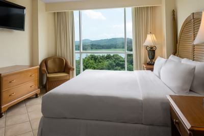 Photo Gallery | Gamboa Rainforest Reserve | Gamboa, Panama