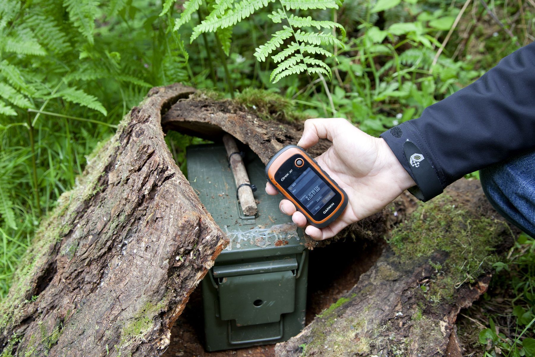 Washington Nature & Hiking Trails - Alderbrook Resort