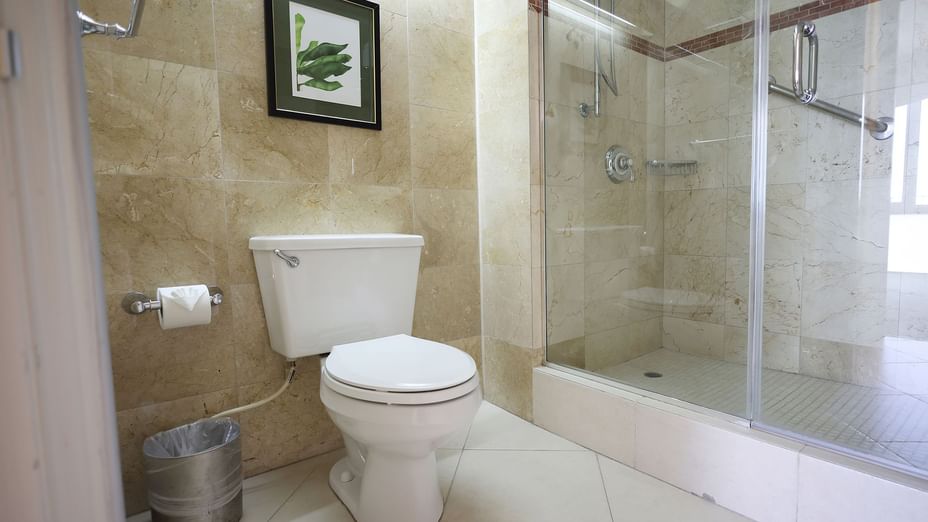 Deluxe Room | The Courtleigh Hotel and Suites
