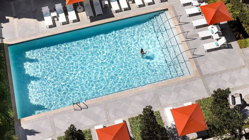 Discovering Dallas: A Cultural Experience with Warwick Melrose Hotel ...