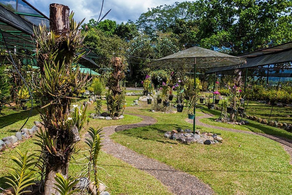 Panama Rainforest Activities | Gamboa Rainforest Reserve | Gamboa, Panama