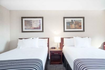 Gallery | Cranbrook Hotels | Sandman Hotel Cranbrook