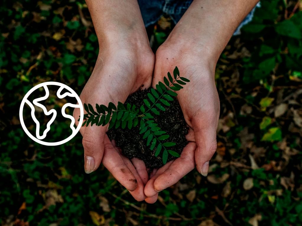 Introducing Village Green Champions | Village Hotels