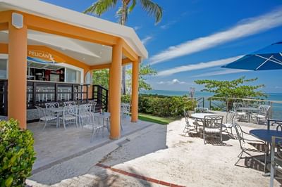 Resort Gallery | Rincon Beach Resort