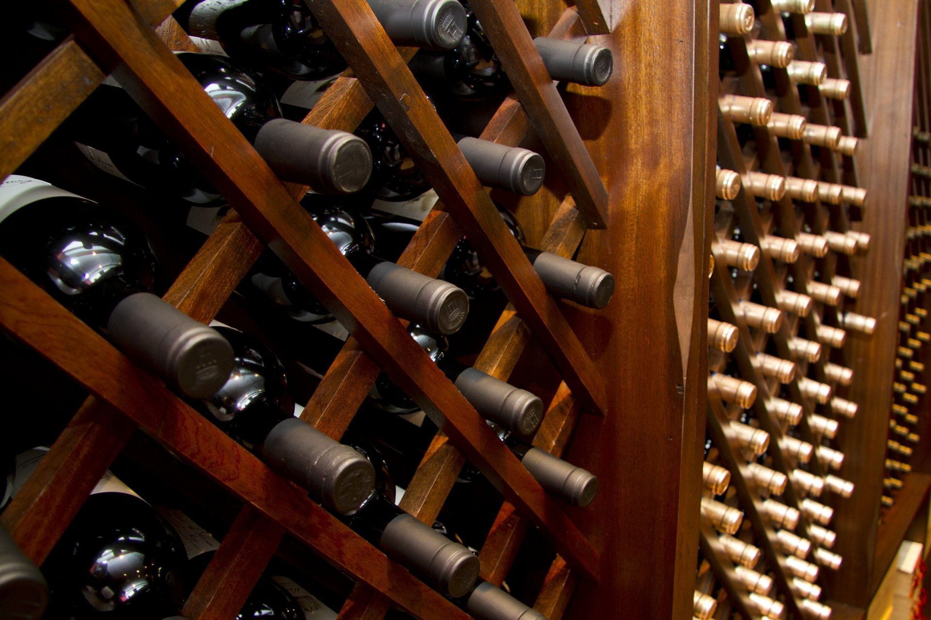 Things to Do in Juan Dolio | Club Hemingway