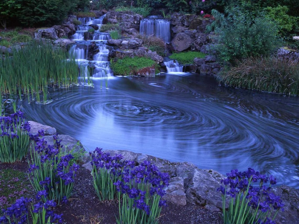 News - Detail page | Moonstone Hotels - Oregon Garden Resort