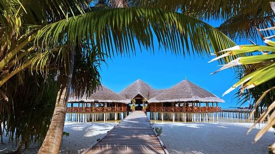 Eyasha Seafood Restaurant on the Beach in Bali | Qumquat Resort