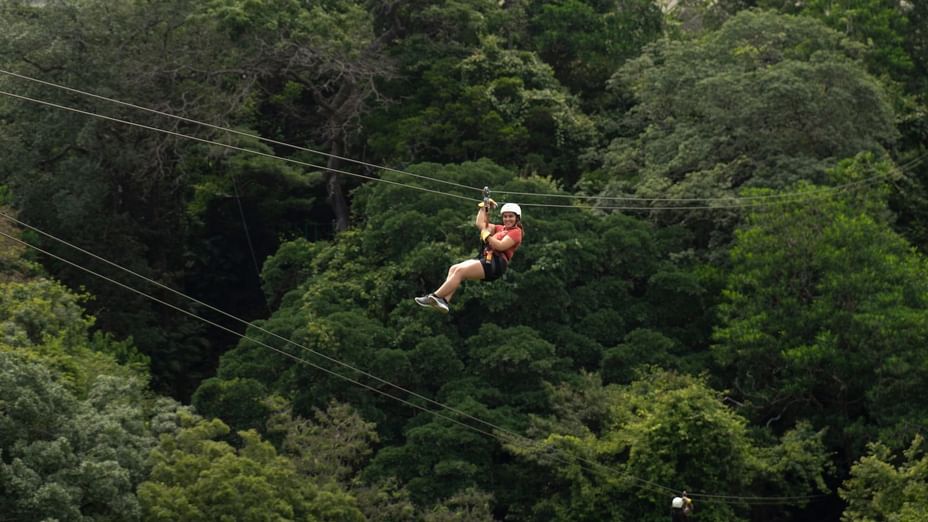 5 Secretos para un Canopy Tour Inolvidable: Aventura en las Alturas de ...
