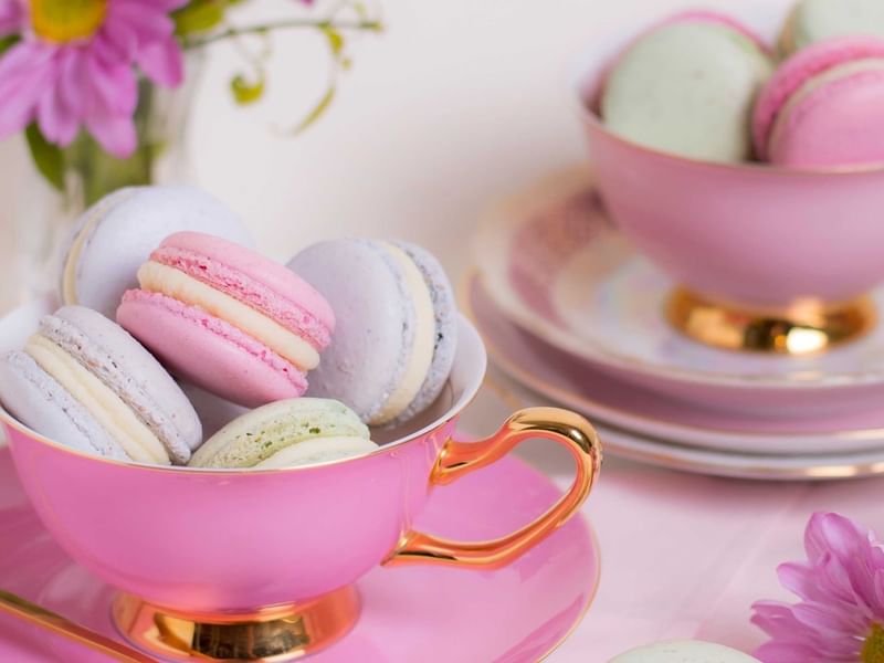 What to do in Central Coast | Central Coast Activities