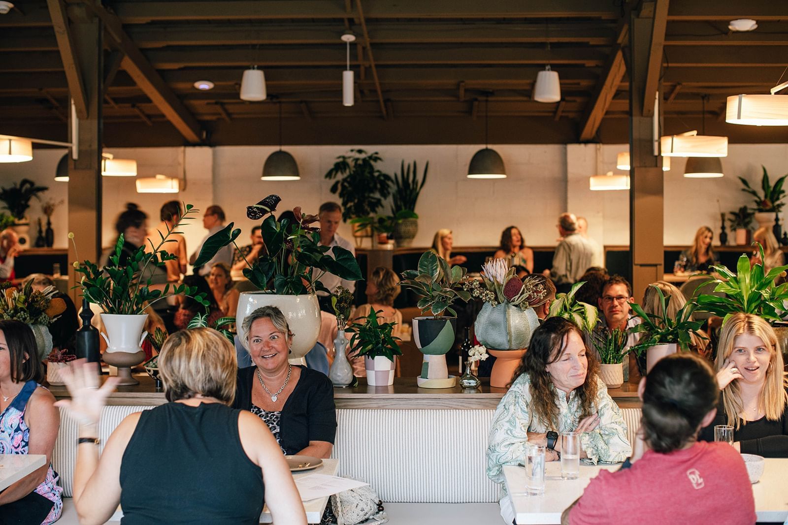 Home | Paseo Restaurant & Bar