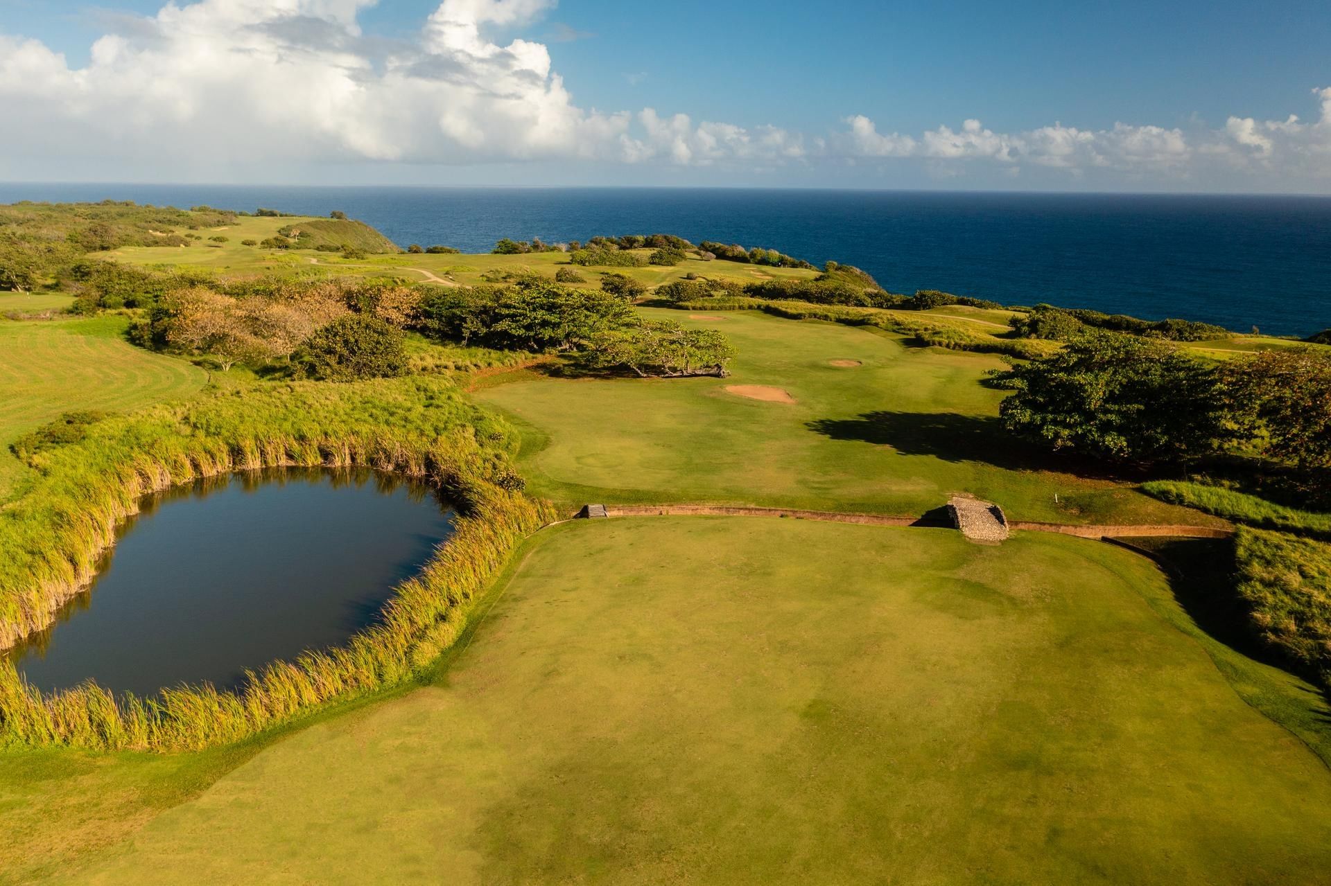 Golf Courses in Puerto Rico | Royal Isabela Golf Club