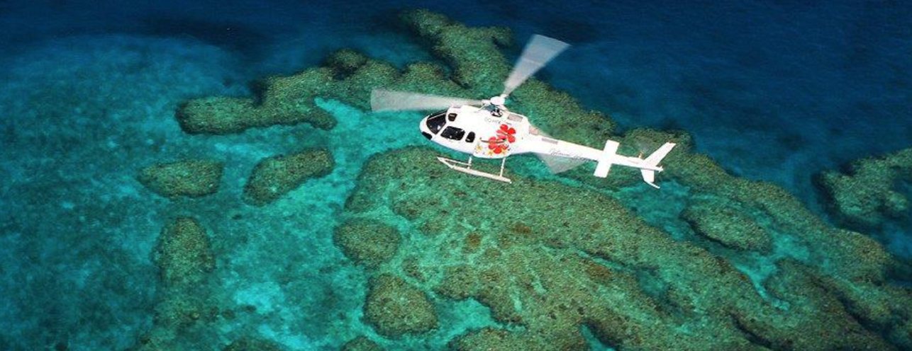 Facilities / Transfers & FAQ | Musket Cove Island Resort & Marina