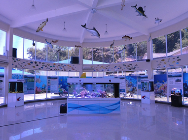 Ornamental Fish Centre | Marine Conservation Near Lexis Hibiscus® PD