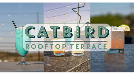 Catbird Rooftop Terrace | Hotel Weyanoke