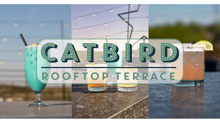 Catbird Rooftop Terrace Farmville | Hotel Weyanoke