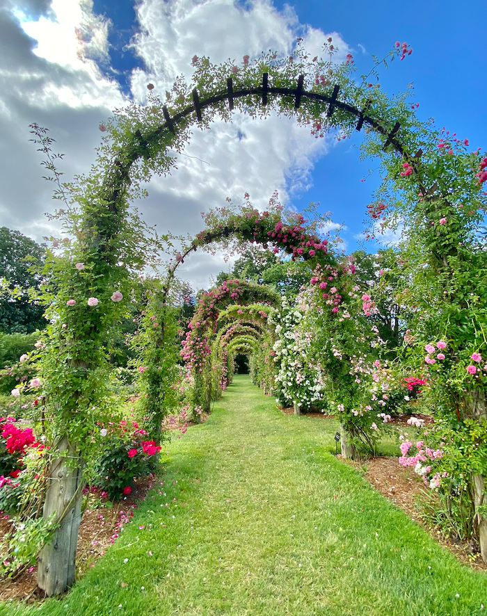 Summer Getaway to Farmington Valley