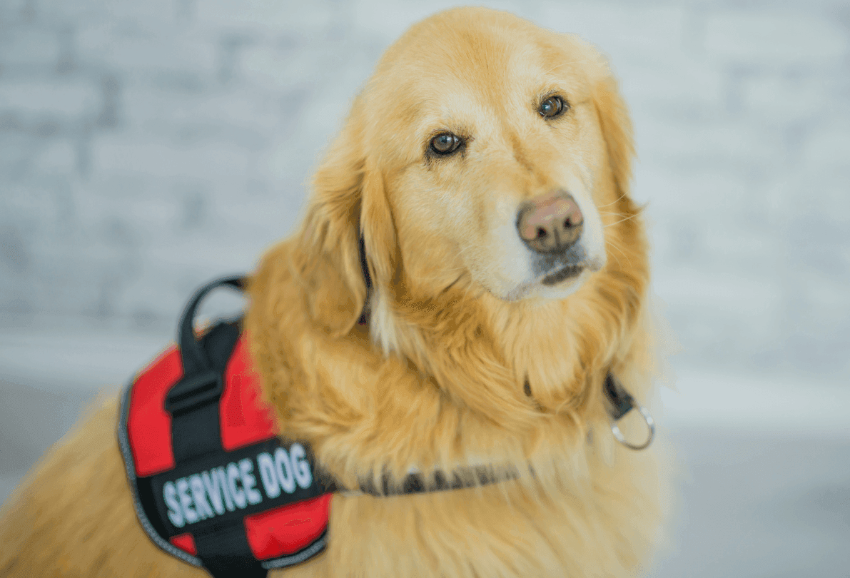 Our Hotel | Casa Boutique Hotel