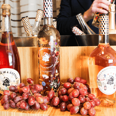 Photo Gallery - Immerse Yourself in the Annual Boston Wine Festival