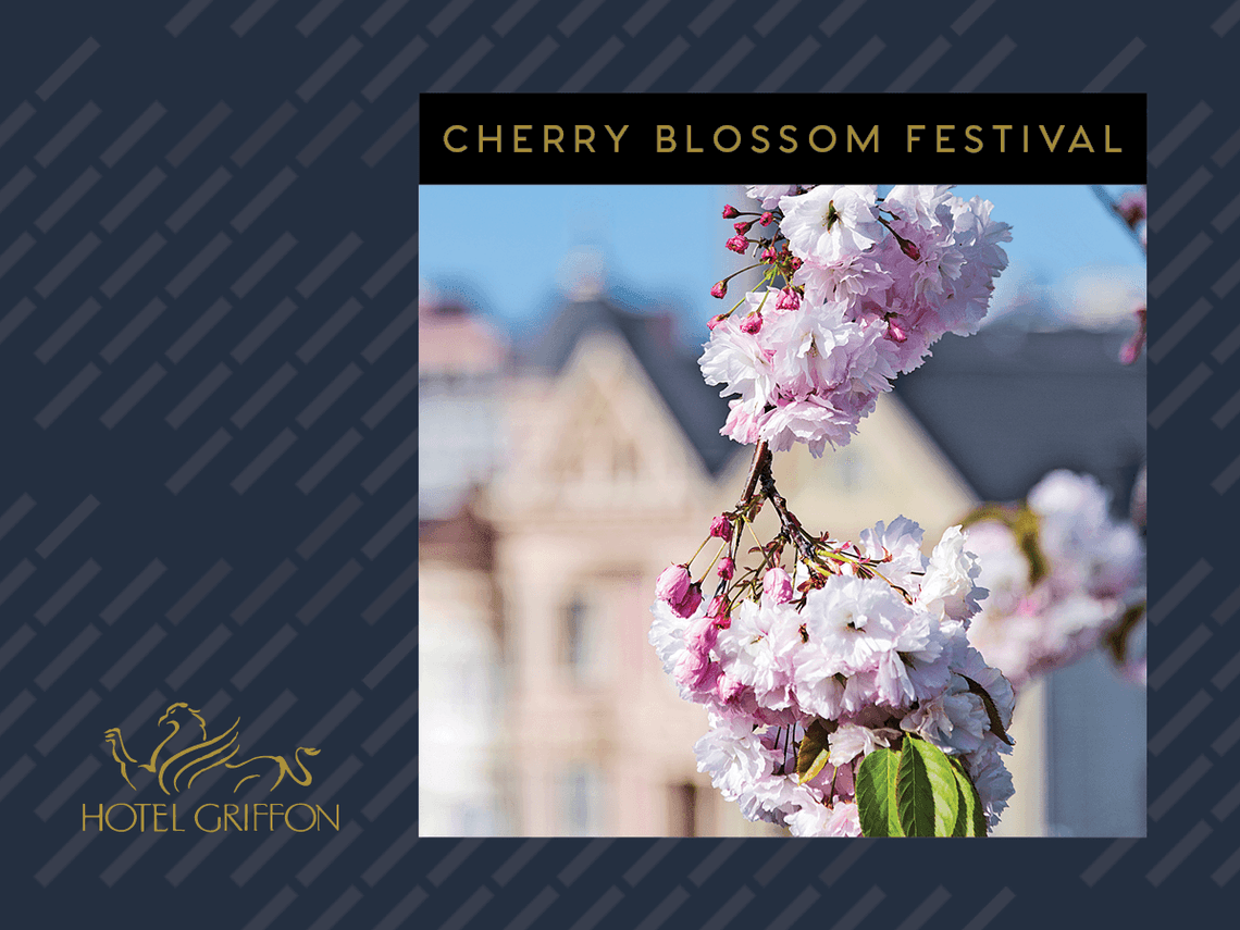 Discover Northern California Cherry Blossom Festival | Hotel Griffon
