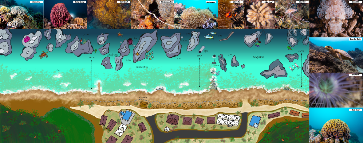 Experience in Laiya, Batangas | Palm Beach Resort