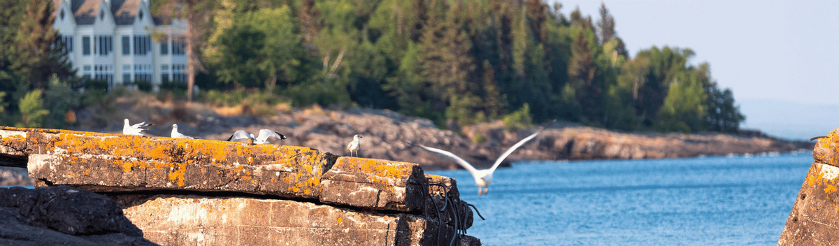 Offers - Bluefin Bay Family of Resorts