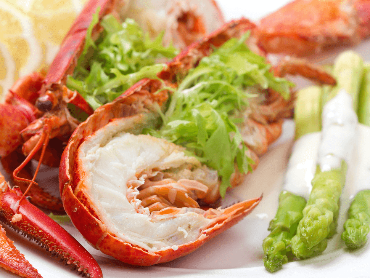 OFFERS | Discovery Samal